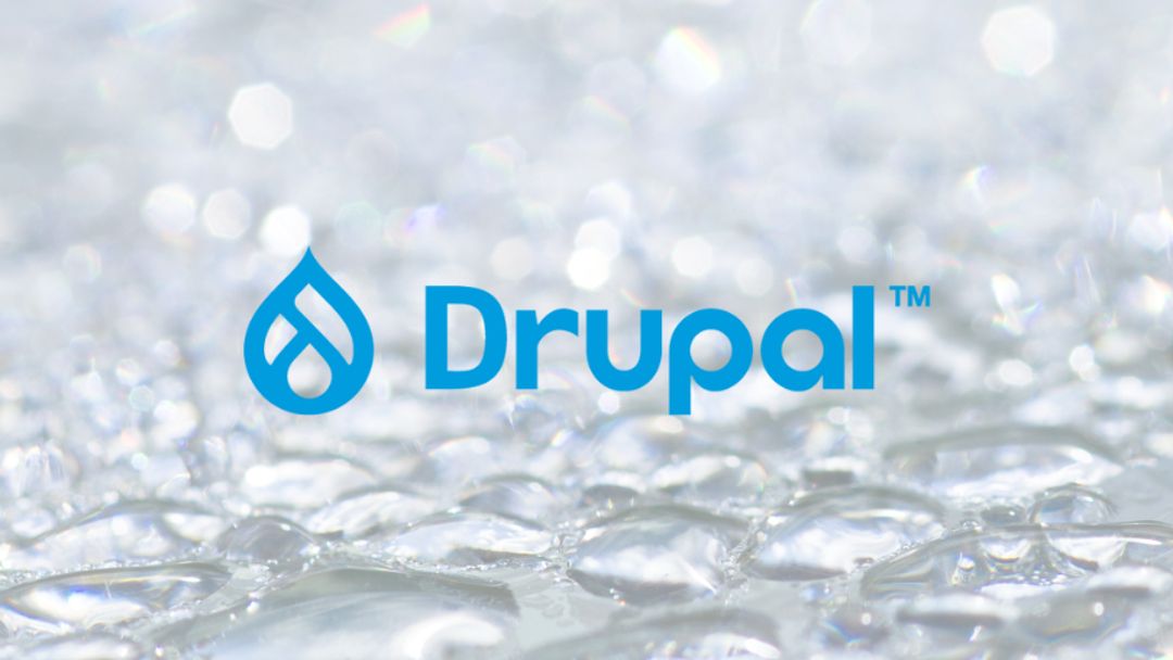 What Do Industry Experts Expect for the Drupal 10 Launch? Here’s What ...