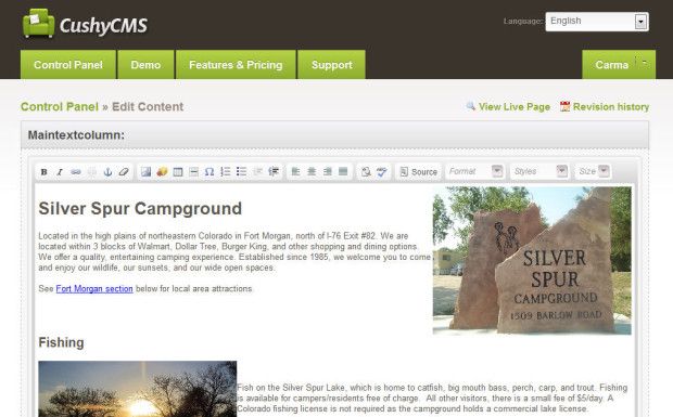 Top 10 Simple CMS | CMS Critic