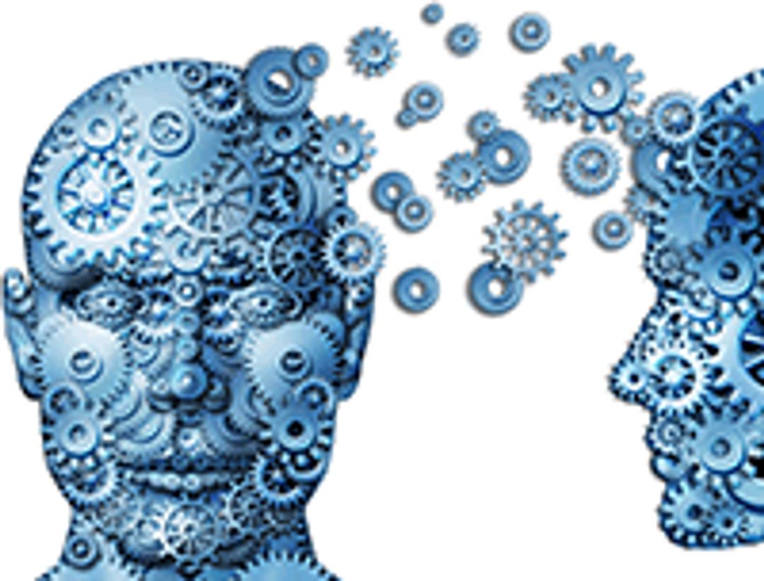 Knowledge Transfer And Management Made Easy CMS Critic knowledge-transfer-and-management-made-easy-cms-critic