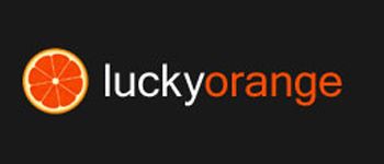 Lucky Orange - An Excellent Alternative to Google Analytics | CMS Critic