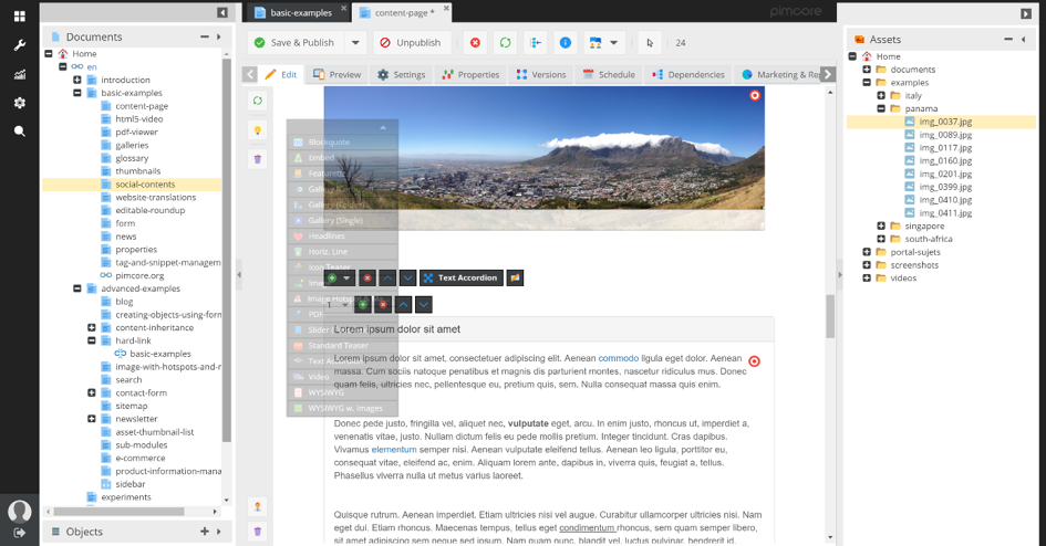 Free & Open source: Personalized Web Experience Management with Pimcore ...