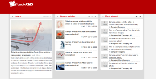TomatoCMS 2.0.1 has been released | CMS Critic