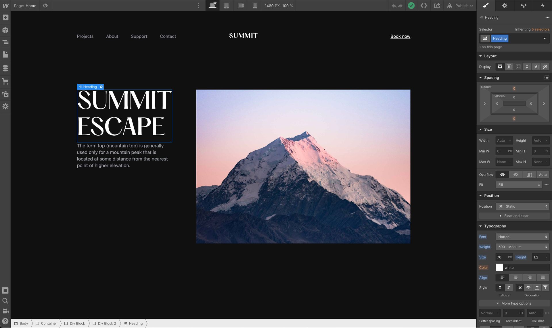 Product: Webflow | CMS Critic